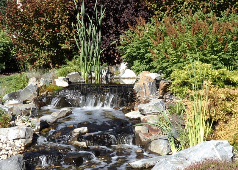 Small Stream and Water Fall with Vegetation Stock Photo - Image of ...