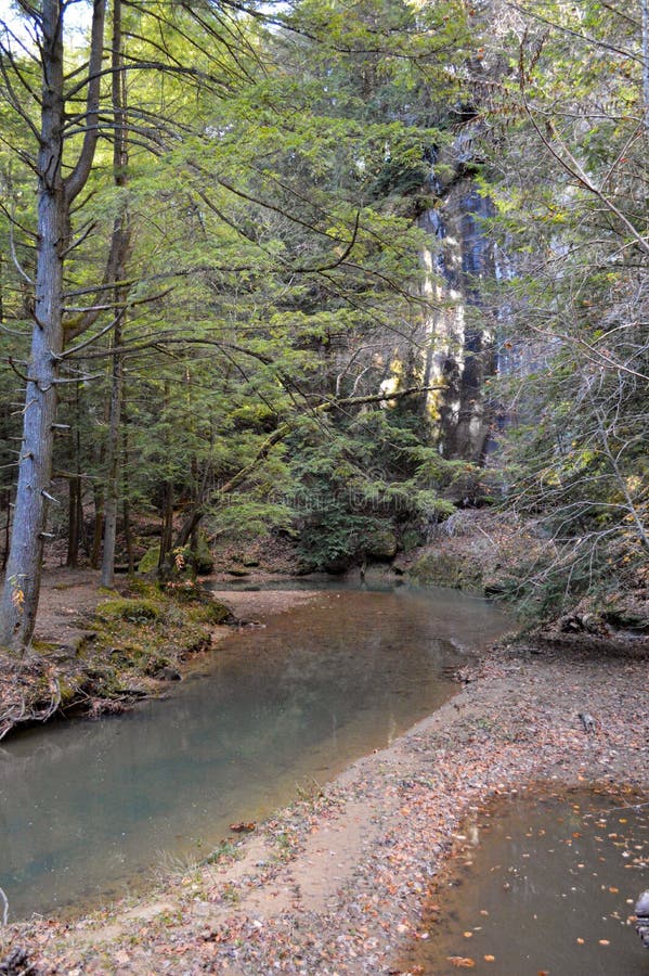Small Stream of Water Flowing through a Forest Stock Photo - Image of ...