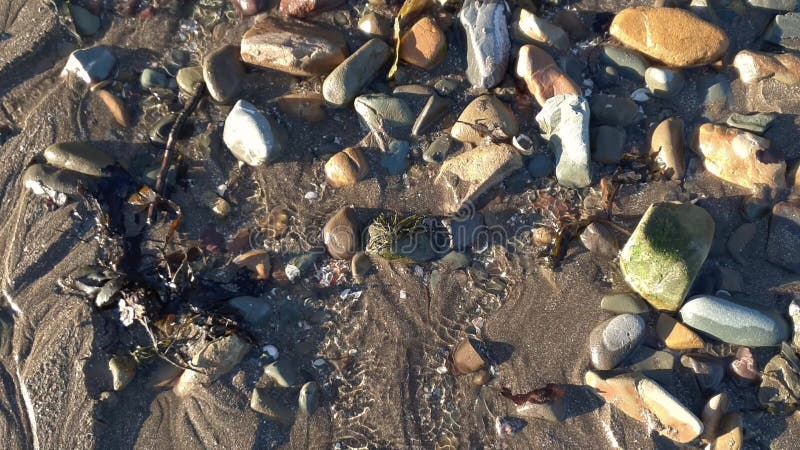 Small Stream of Water Flowing through Pebbles on a Sand Beach, Towards ...