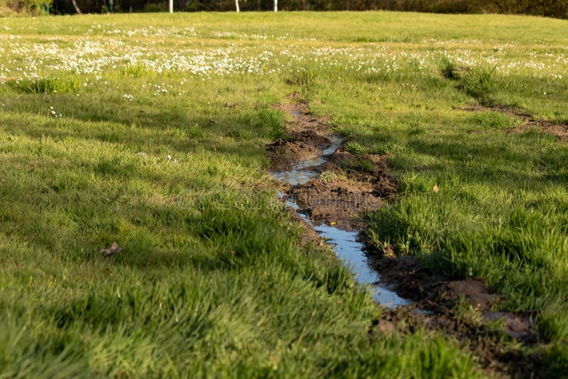 Small Stream of Water through Mud and Grass Stock Photo - Image of ...