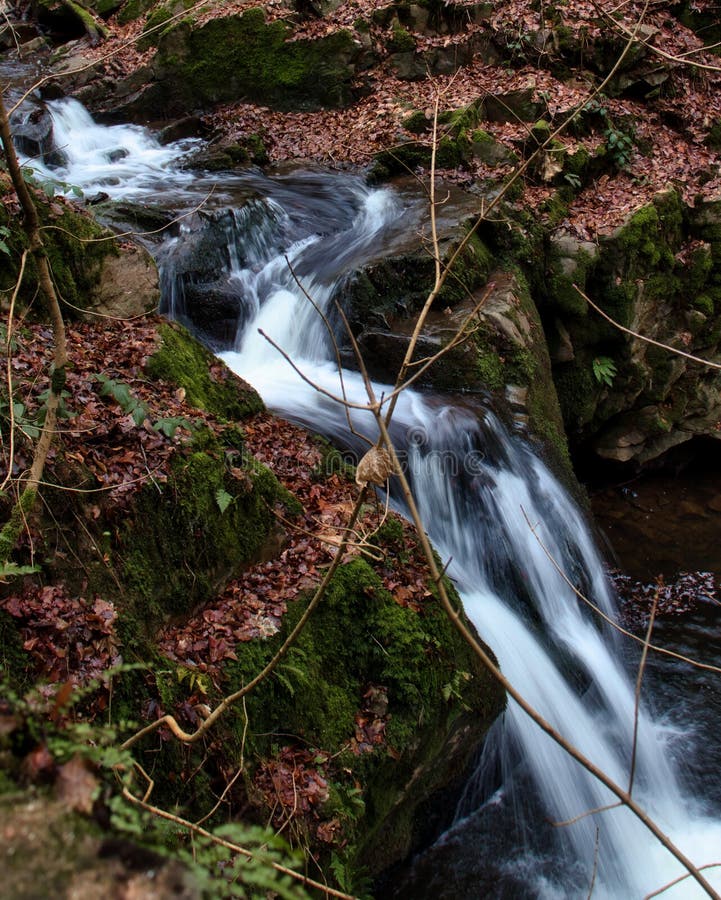 Small Stream and Waterfall in German Forest Stock Photo - Image of ...