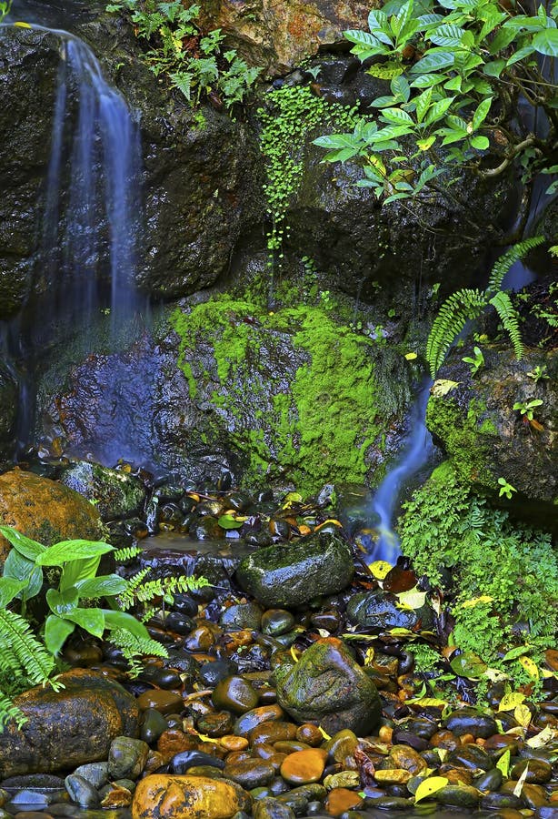 Small stream waterfall stock image. Image of fall, moss - 61269973