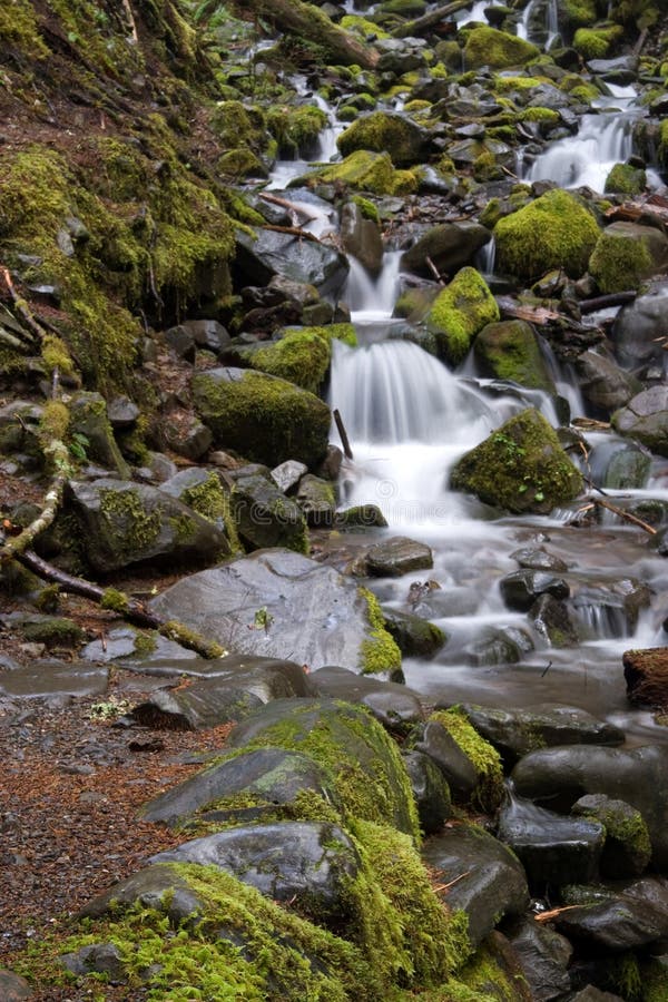 Small forest waterfalls stock photo. Image of outdoors - 3771886