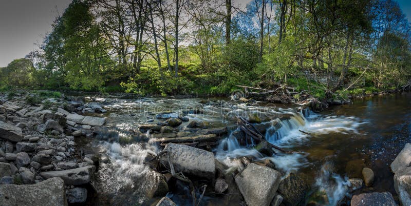 A Small Stream with Waterfalls in the Woods Stock Photo - Image of ...