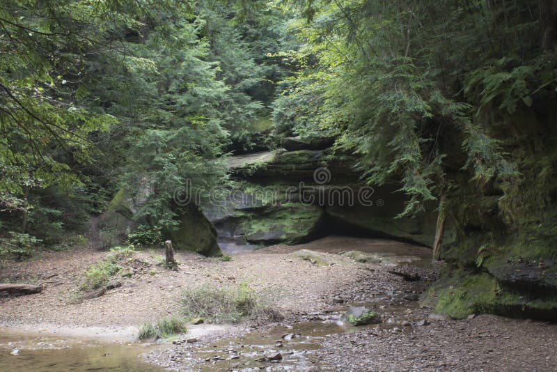 A Small Stream Surrounded by Grass and Trees Stock Image - Image of ...