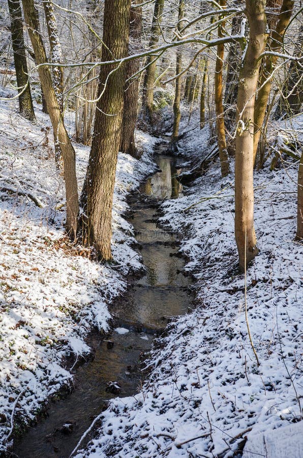 Small Stream in Winter Forest Stock Photo - Image of nature, winter ...