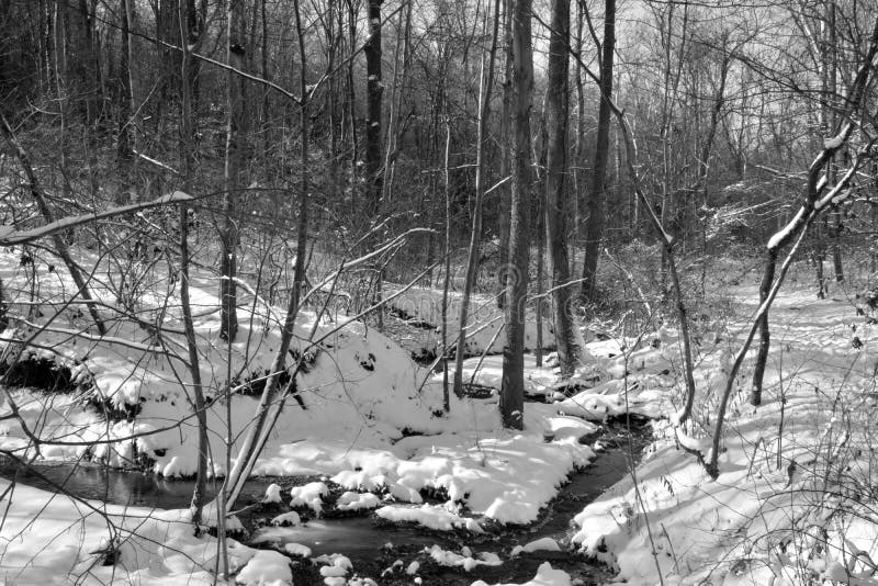 Small Stream in Winter Snow Stock Image - Image of woods, cold: 107706531