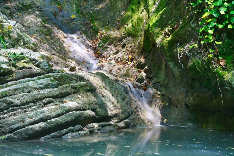 Small Streamlet Flowing into Lake with Stagnant Water among the Jungle ...