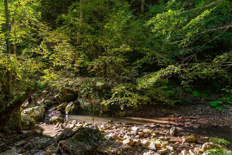 Small Streams that are the Source of the River.a Small Waterfall with ...