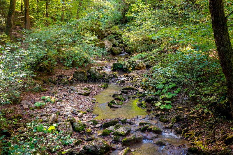 Small Streams that are the Source of the River.a Small Waterfall with ...