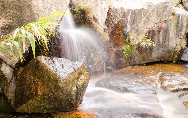 Small streams stock image. Image of outdoors, summer - 36693683