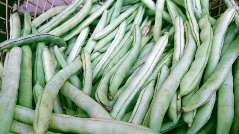Small string beans stock image. Image of quezon, basket - 58048627