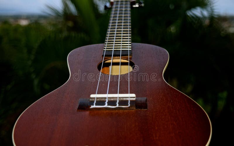 Ukulele Closeup stock photo. Image of hawaii, nylon - 113330498