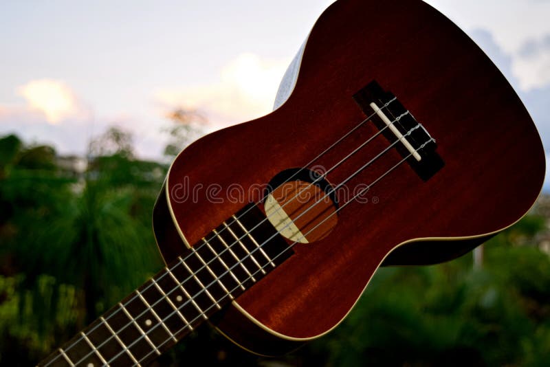 Ukulele Closeup stock image. Image of harmony, hobby - 113330495