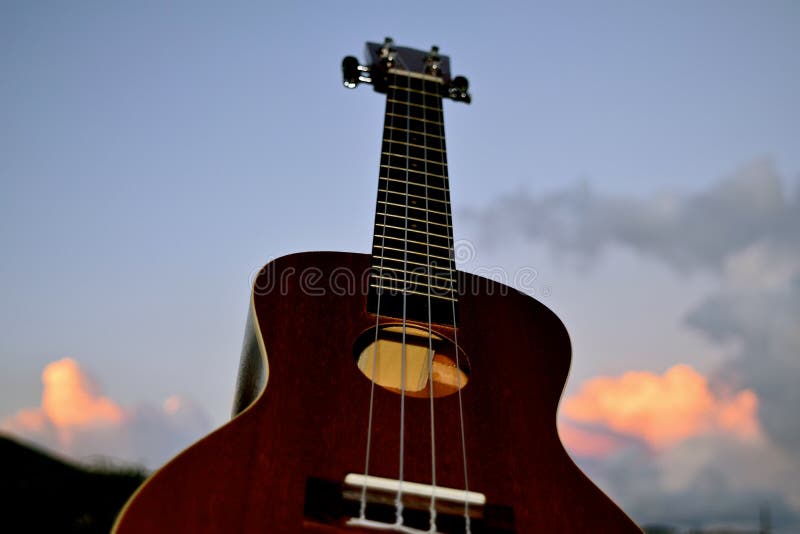 Ukulele Closeup stock image. Image of amusement, chords - 113330539