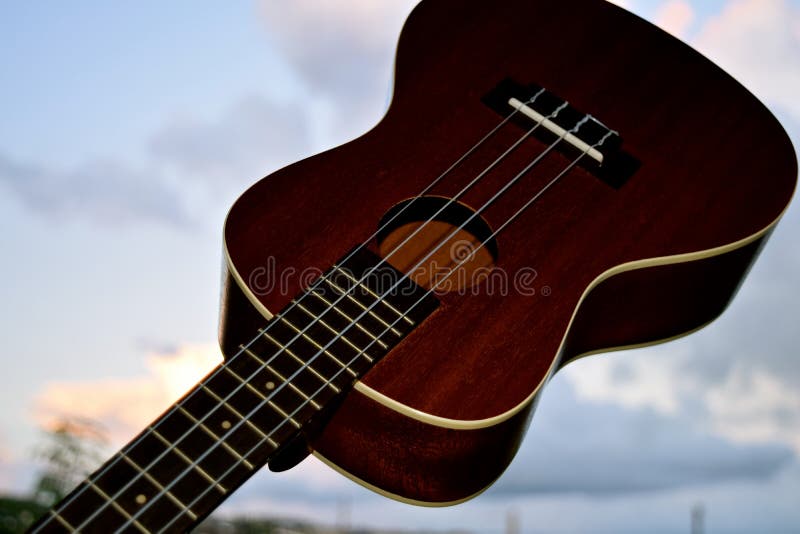 Ukulele Closeup stock image. Image of harmonics, harmony - 113330547