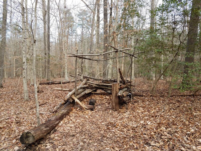 Small Structure or Fort Made Out of Sticks in the Forest Stock Image ...
