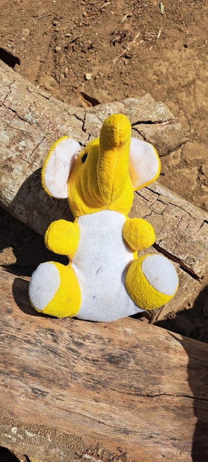 Small Stuffed Elephant during the Dry Season Stock Image - Image of ...