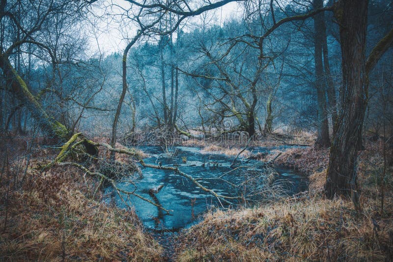 A Small Swamp Covered with the First Ice Stock Photo - Image of norway ...