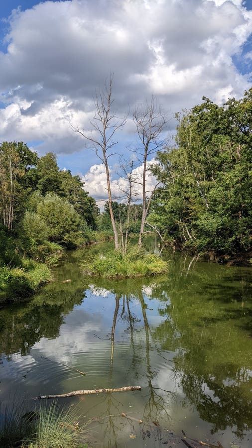 Small Swamp Surrounded by Trees with Reflection in Water and Cloudy Sky ...