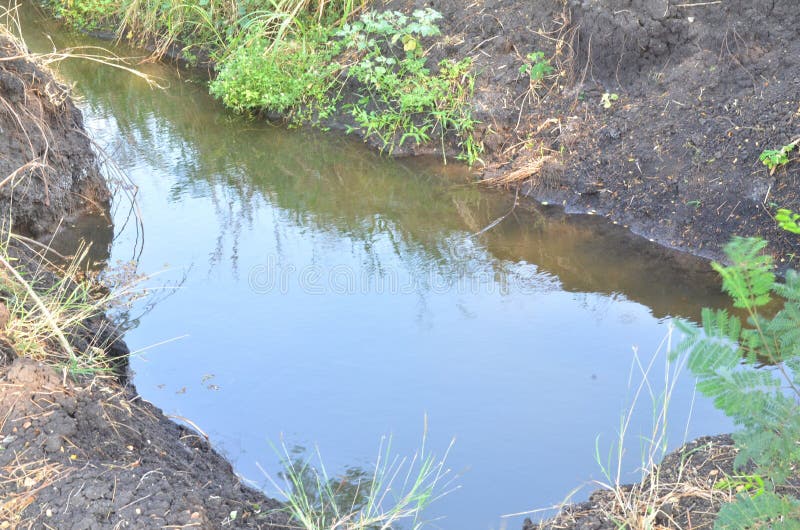 Small swamps. stock image. Image of farmland, small - 218112265