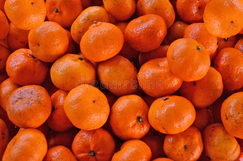 Small Sweet and Fresh Oranges Stock Photo - Image of natural, sweet ...