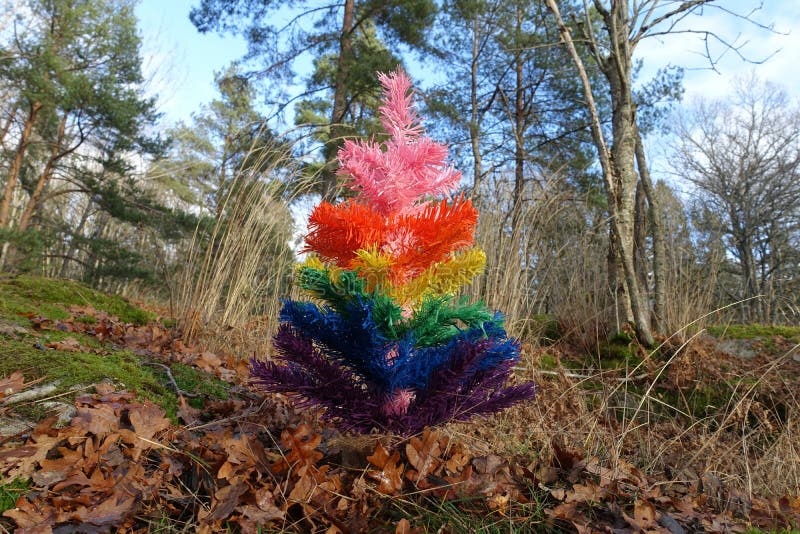 A Symbolic Christmas Tree with Pride Colors Stock Photo - Image of ...