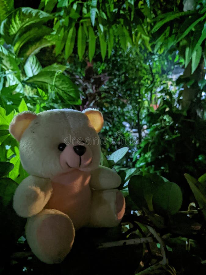 A Small Teddy Bear Doll with Green Leaf Background Stock Photo - Image ...