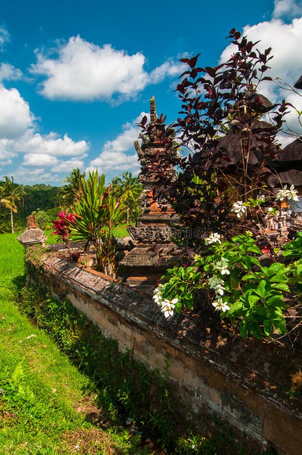 Small Temple at Rice Terrace, Bali, Indonesia Stock Photo - Image of ...