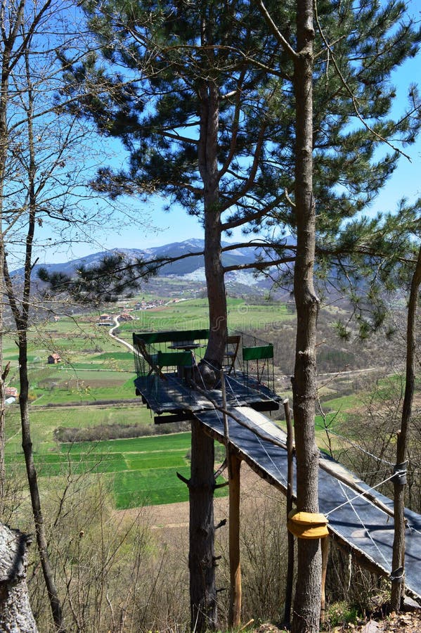 Small terrace on a tree stock photo. Image of detail - 220099952