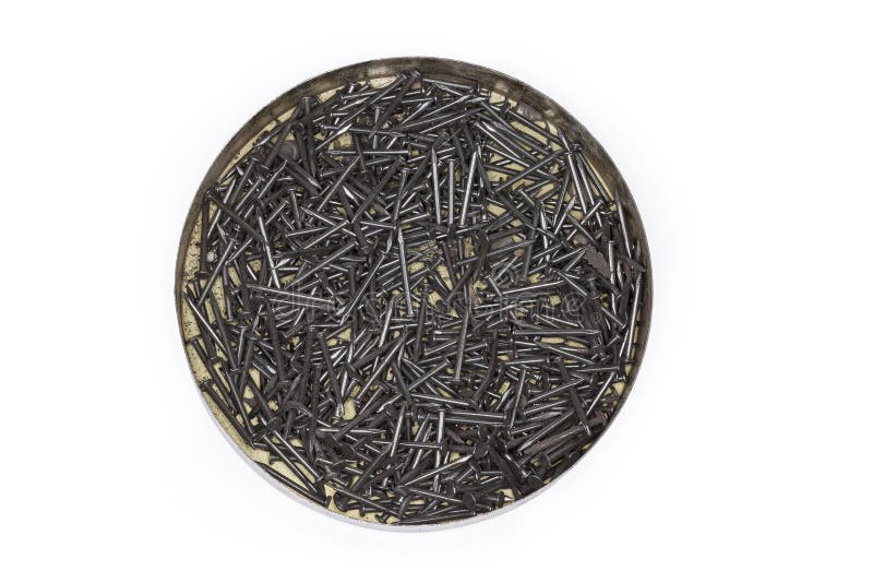 Small Thin Nails in Tin Box on a White Background Stock Image - Image ...