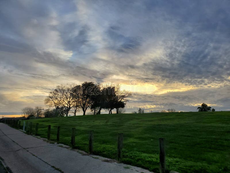 The small things stock photo. Image of sunlight, small - 211852304