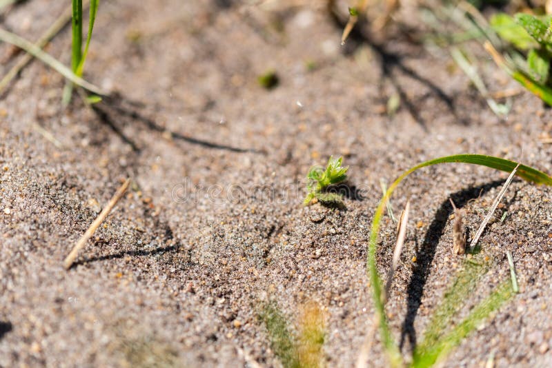 Small Things are Shown in a Very Big Size Stock Image - Image of small ...