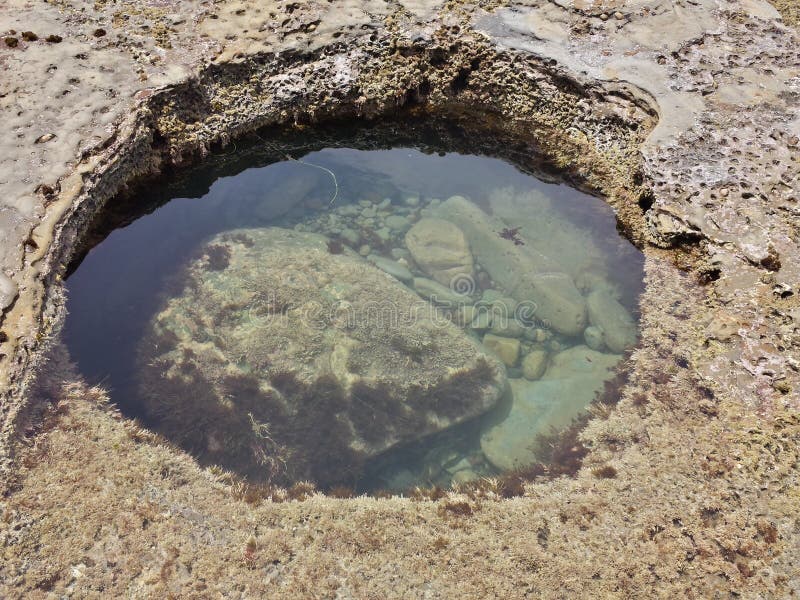 Small tide pool stock image. Image of tide, pool, natures - 55030439