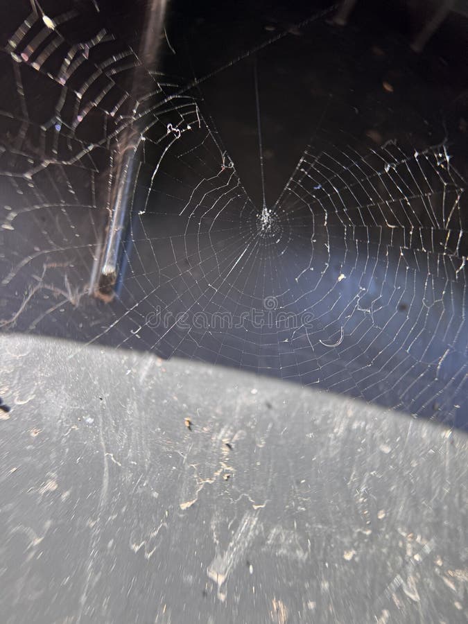 Small Tiny Cobweb on a Dirty Black Background, Dusty Image Stock Image ...