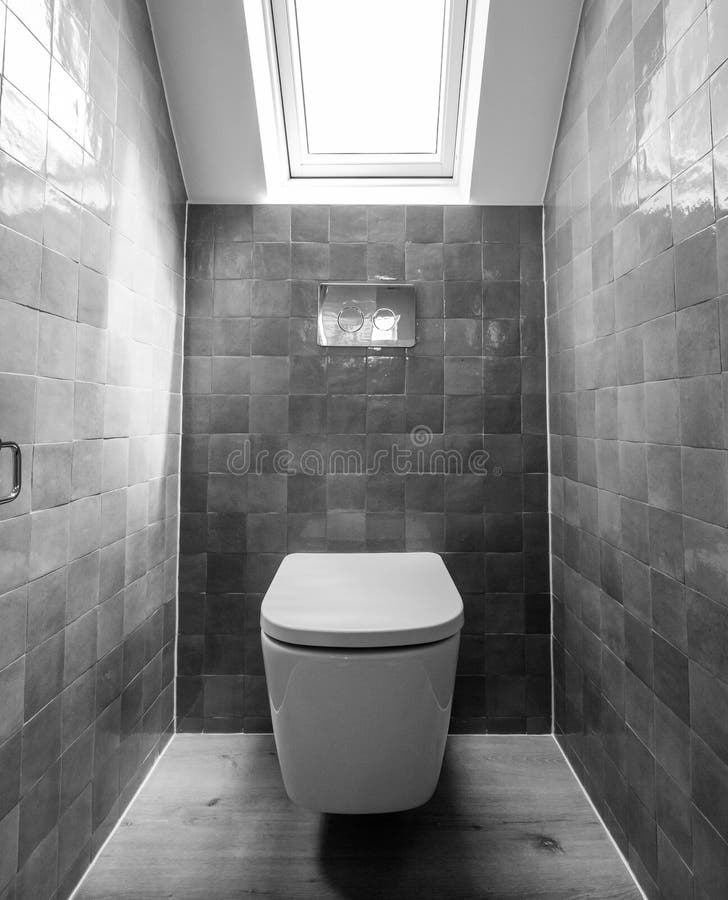 Small Toilet in a Loft Conversion Which Makes Clever Use of Attic Eaves ...