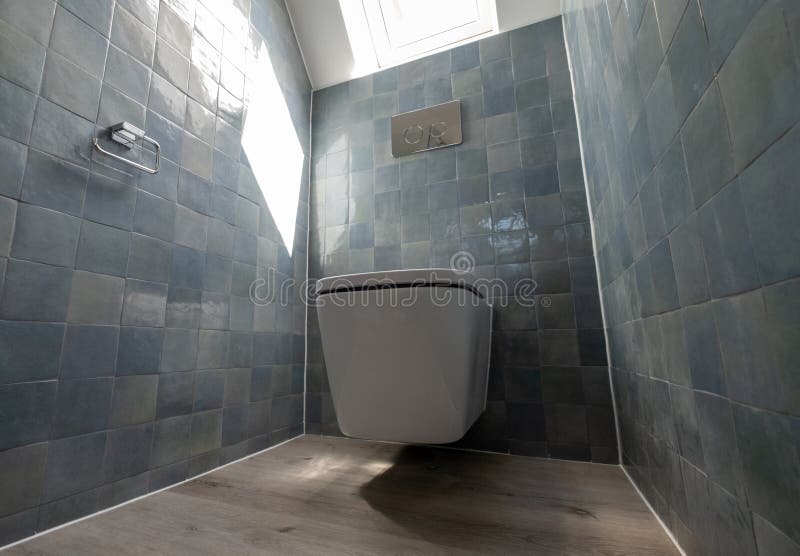 Small Toilet in a Loft Conversion Which Makes Clever Use of Attic Eaves ...