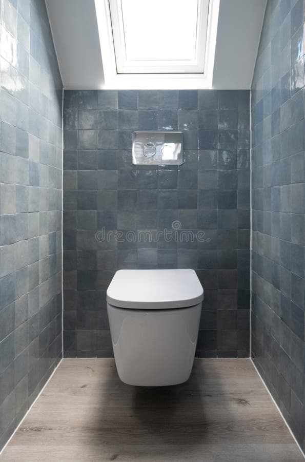 Small Toilet in a Loft Conversion Which Makes Clever Use of Attic Eaves ...