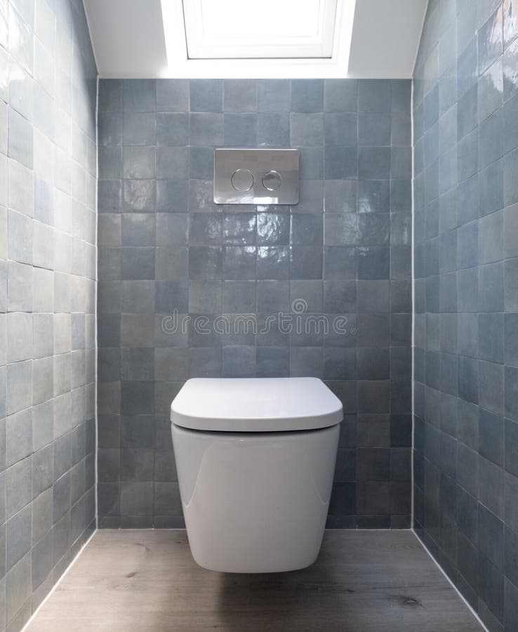 Small Toilet in a Loft Conversion Which Makes Clever Use of Attic Eaves ...