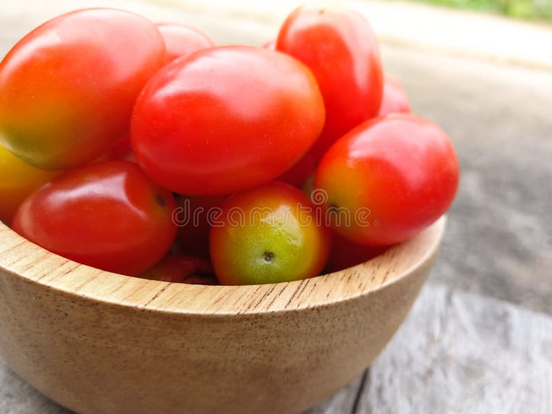 Small tomato stock photo. Image of oval, farmers, tomato - 107541194