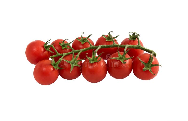 Small tomatoes stock image. Image of small, stem, group - 10862067