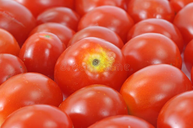 Small tomatoes stock image. Image of tasty, tomatoes - 15088139