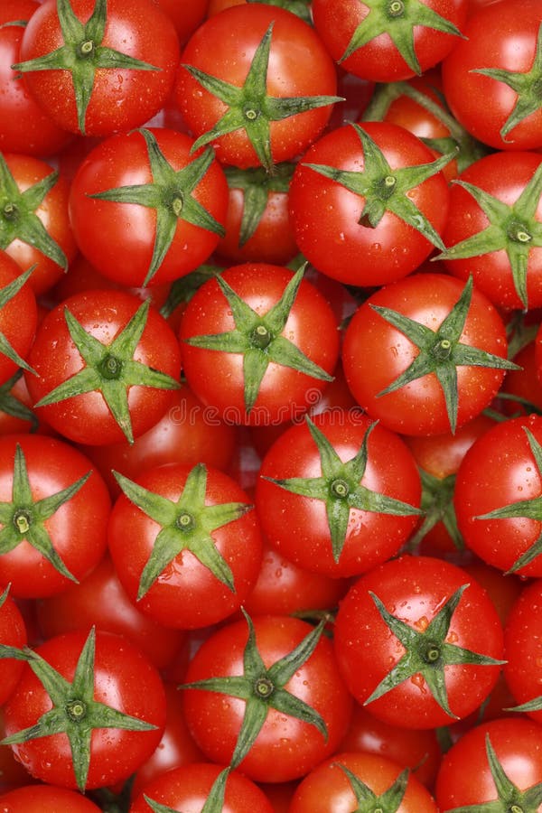 Small Tomatoes Forming a Background Stock Photo - Image of healthy ...