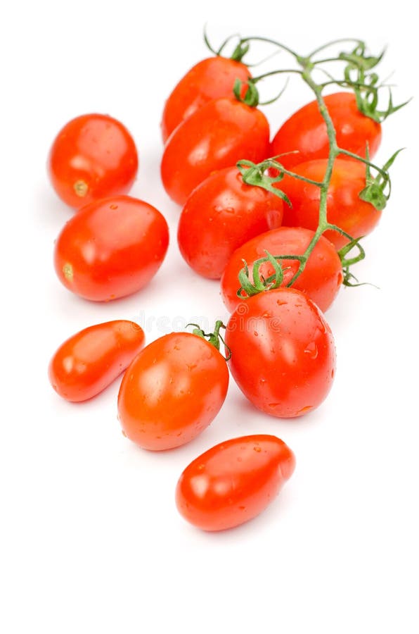 Small tomatoes, isolated stock photo. Image of juicy - 40038564