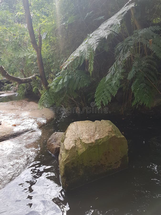 River rocks stock image. Image of small, relaxing, water - 100983563