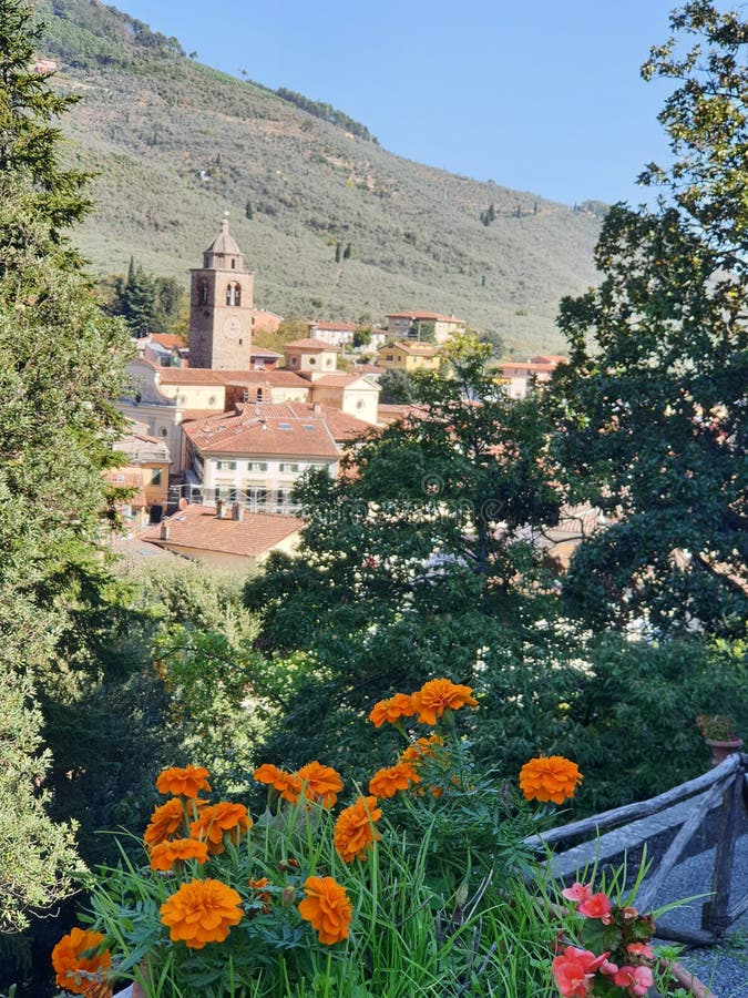 Small town with the flower stock photo. Image of garden - 205777654