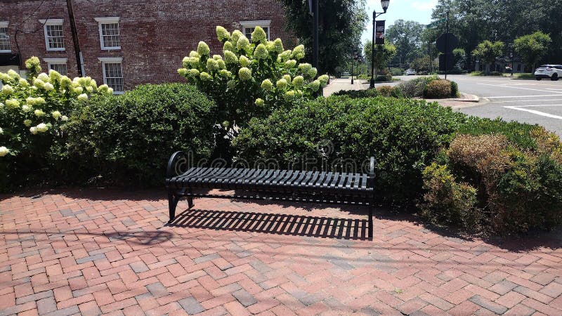 Bench with Flowers on Coastal Promenade Along a Tropical Beach in San ...