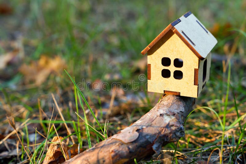 Small Toy House Placed on Tree Branch in the Woods Stock Photo - Image ...