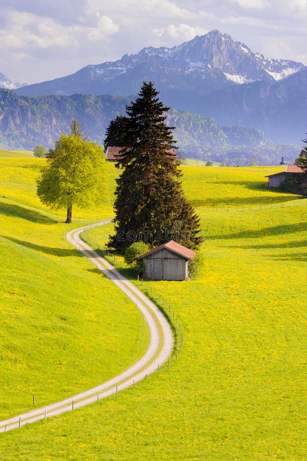Small Track through Meadows Stock Photo - Image of ground, trail: 56776390