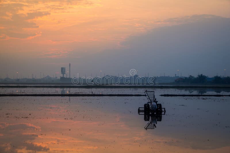 The Small Tractor for Plowing in the Paddle on the Morning,there is a ...